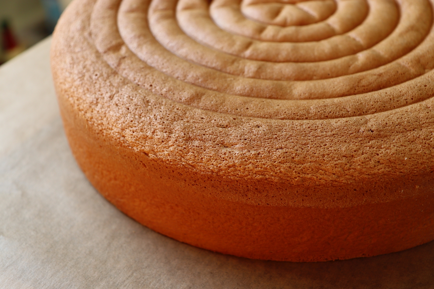 Types of German Sponge Cakes - Nina's Recipes